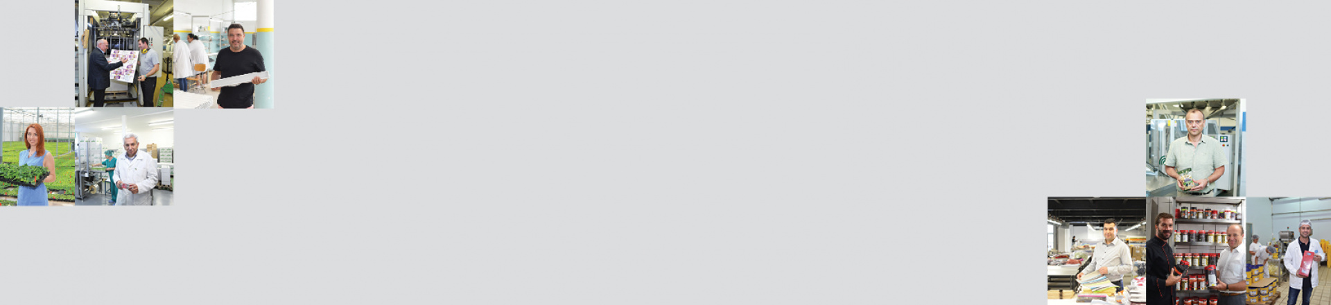 Terms And Conditions For Companies - ProCredit Bank